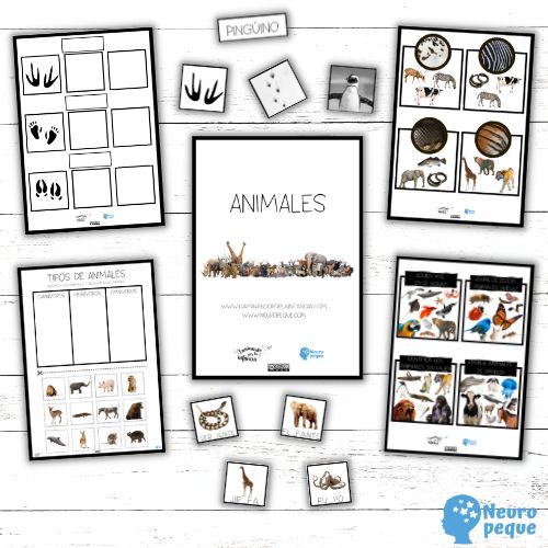 Pack actividades de animales